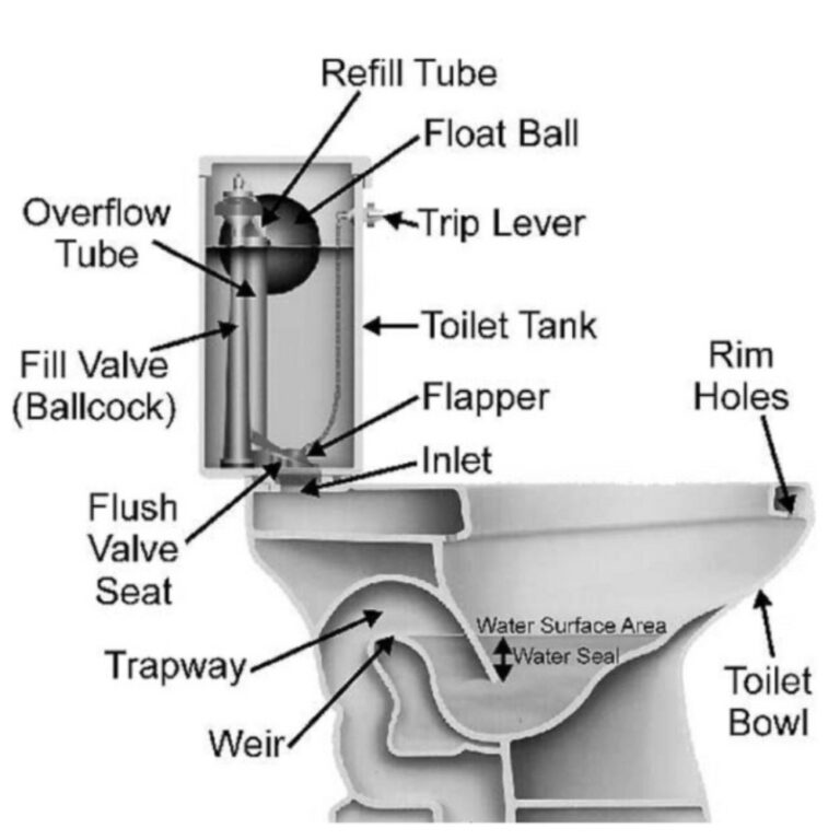 The Parts of a Toilet, Explained | Maplewood Plumbing